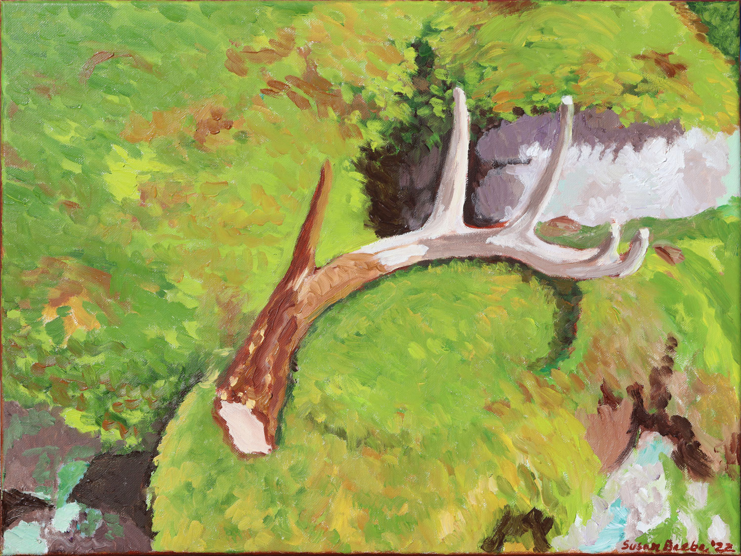 Susan Beebe Studio – fine art and nature